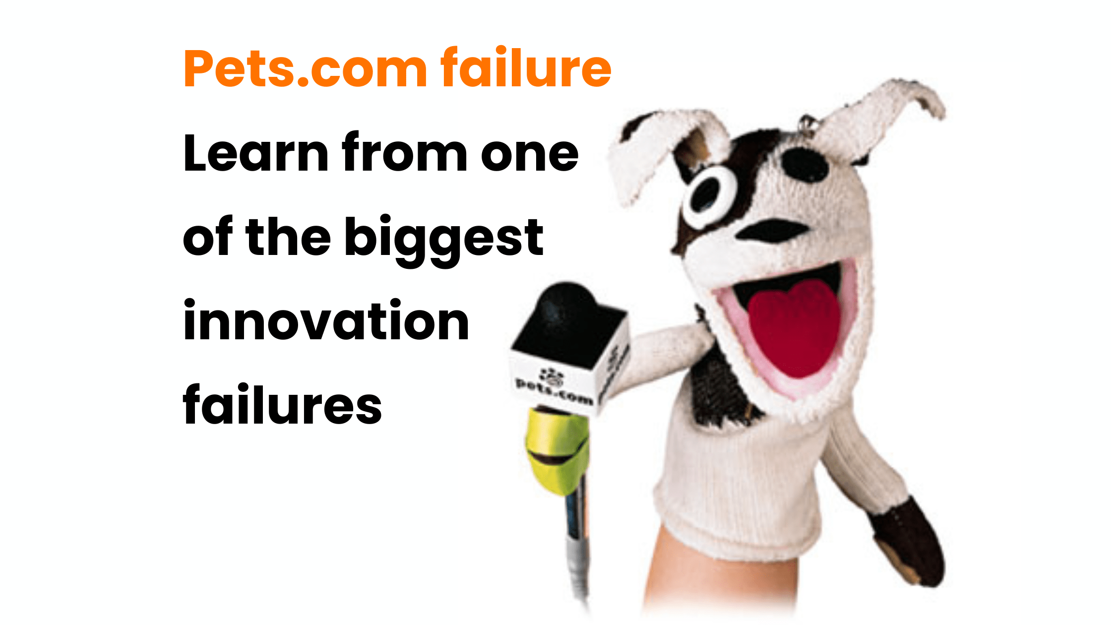 Pets.com failure: Lessons from one of the biggest failures