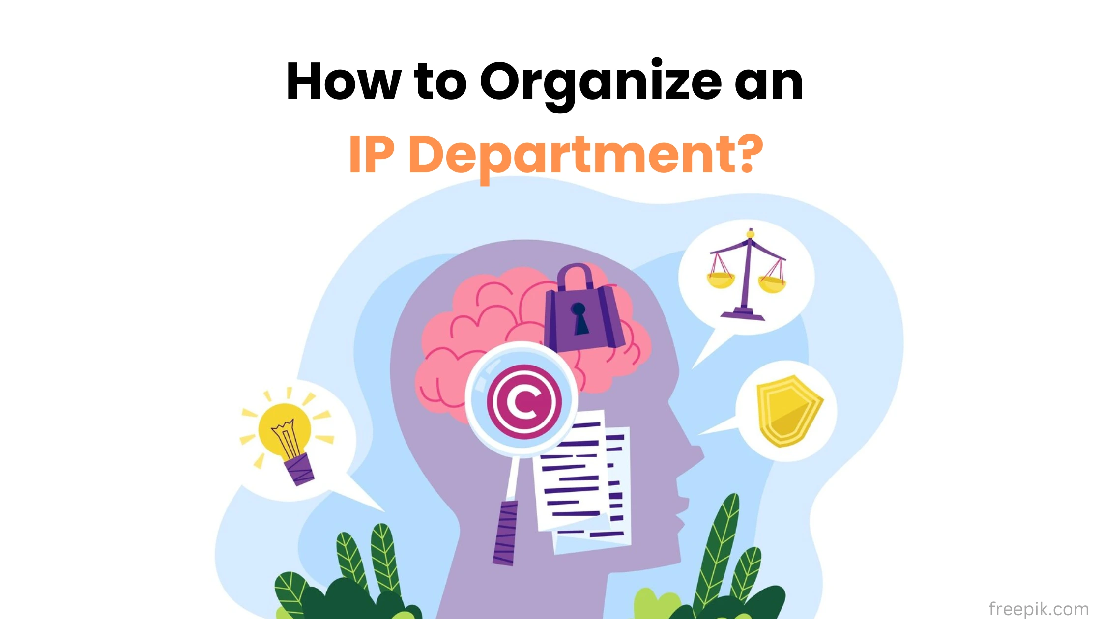 How to Organize an Intellectual Property Department?